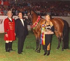 FAME VF | Arabian Essence TV