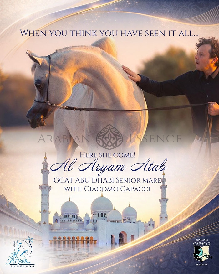 AL ARYAM ATAB | GCAT ABU DHABI Senior Mare with Giacomo Capacci ...