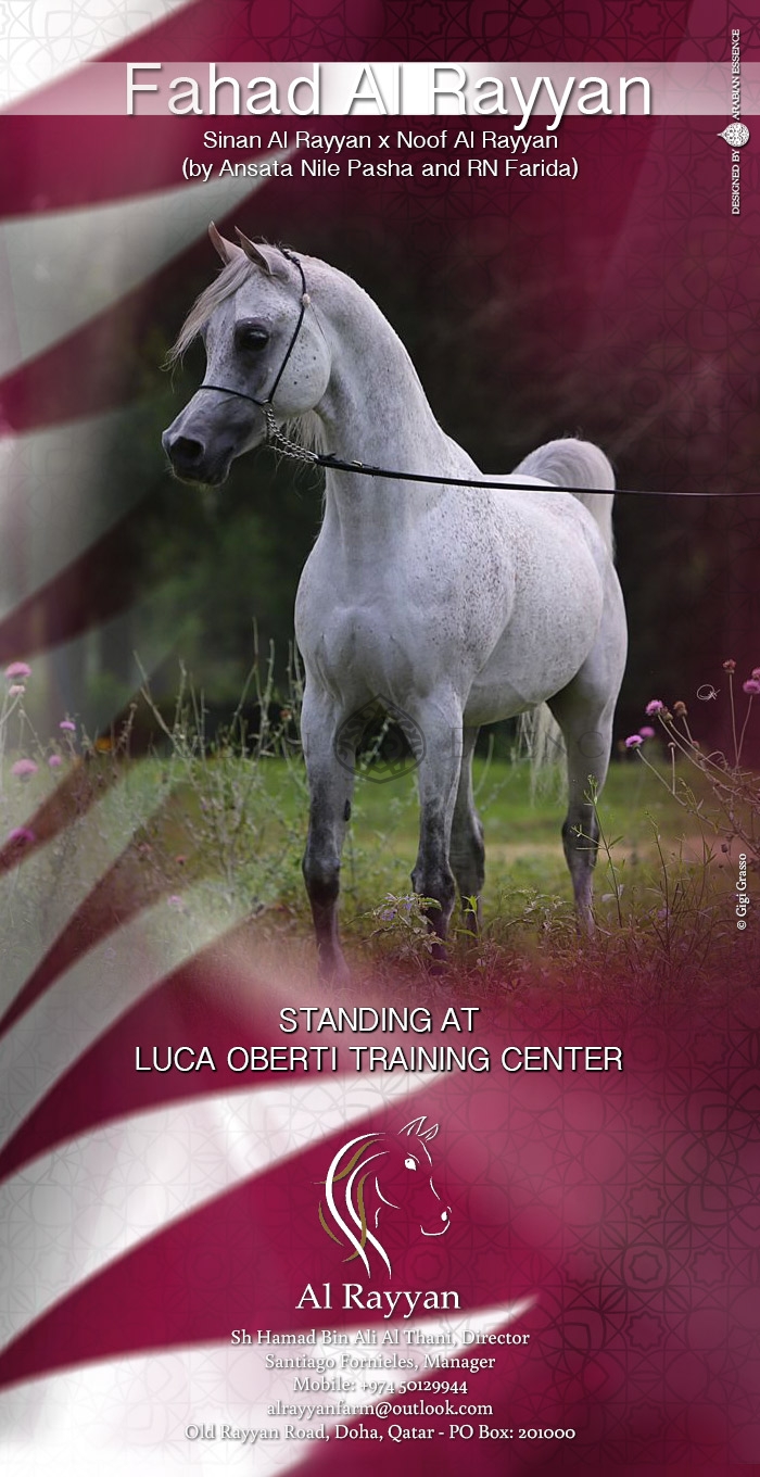 Fahad Al Rayyan | Arabian Essence TV