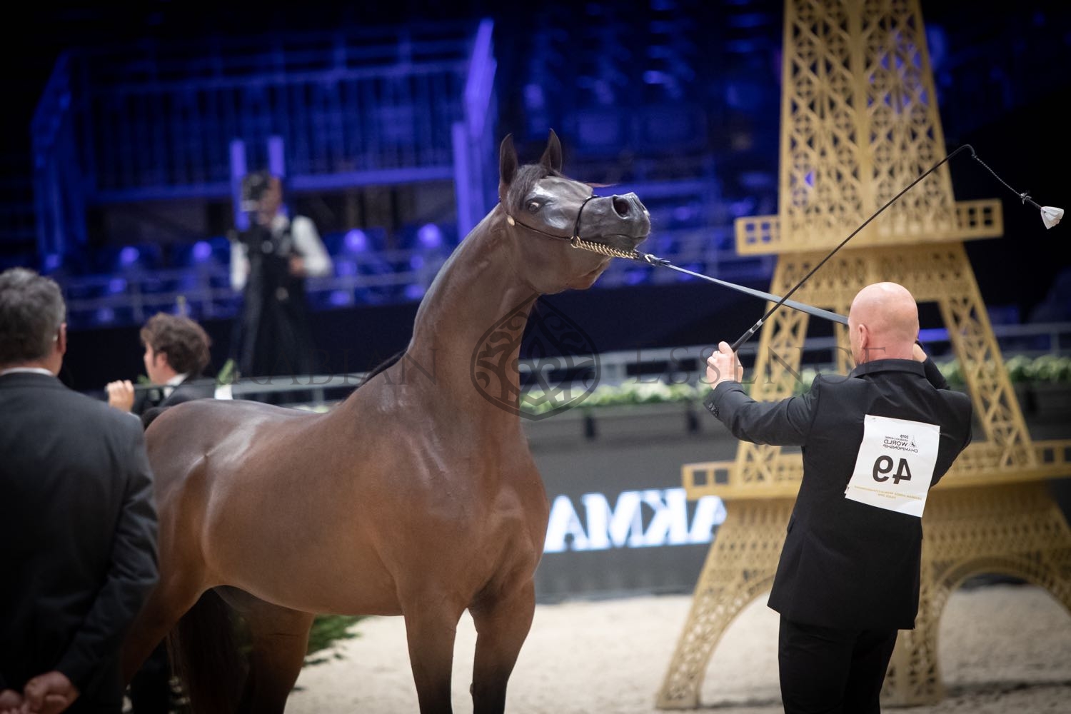 ERALDA | Arabian Essence TV