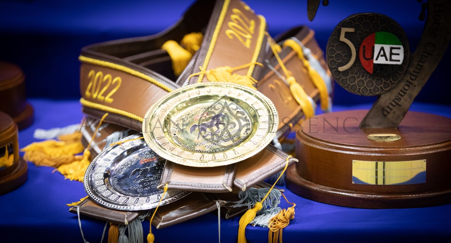 Dubai International Arabian Horse Championship 2022 Events Arabian Dubai International Arabian Horse Championship 2022 Events Arabian