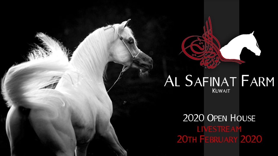 Al Safinat Stud 2020 Open House | Events | Arabian Essence TV
