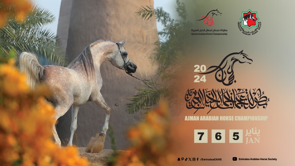 Ajman Arabian Horse Show 2024 | Events | Arabian Essence TV