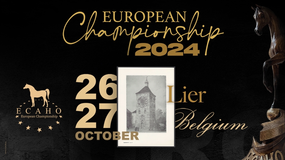 ECAHO European Championship 2024 | Events | Arabian Essence TV