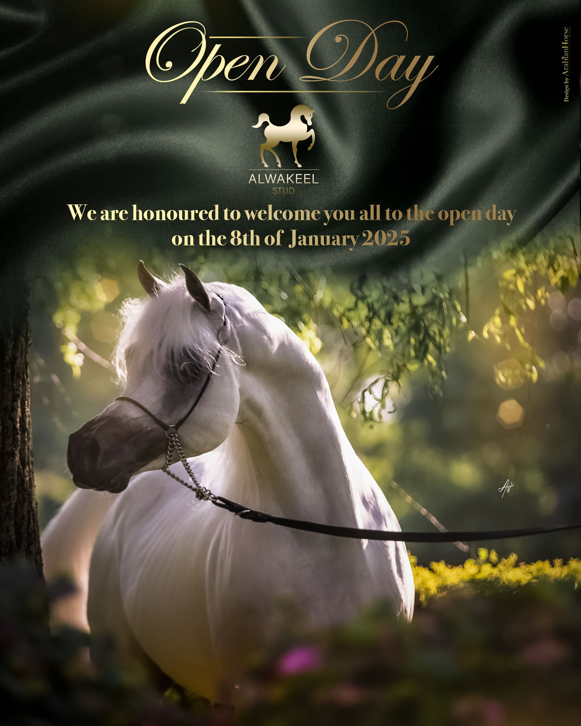 Alwakeel Stud Open Day 2025 | Events | Arabian Essence TV