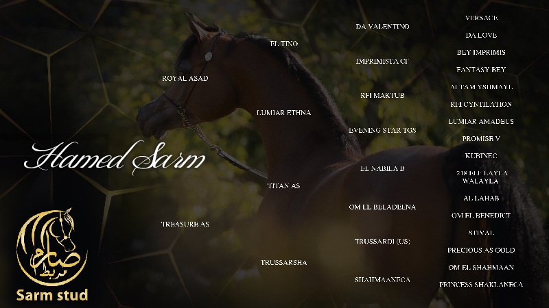 Home | Arabian Essence TV