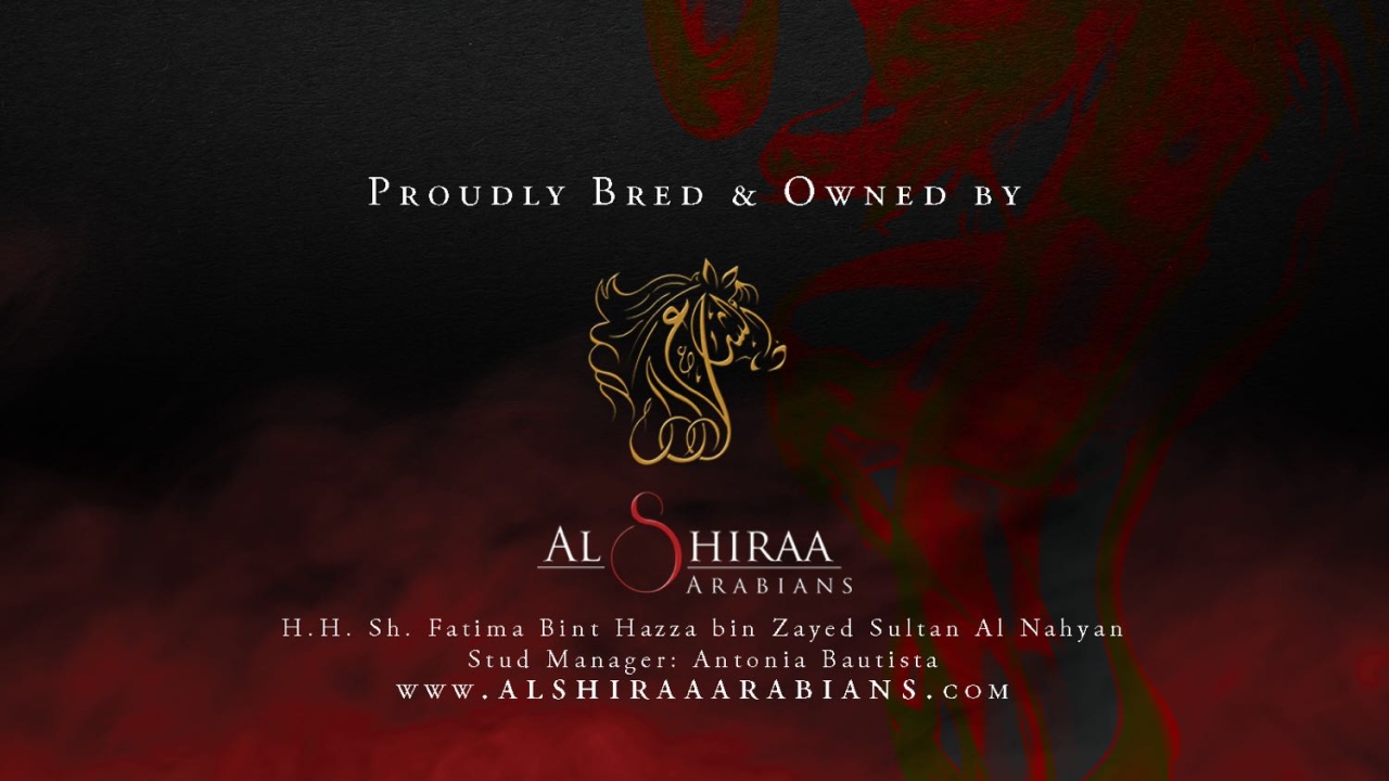 Home | Arabian Essence TV