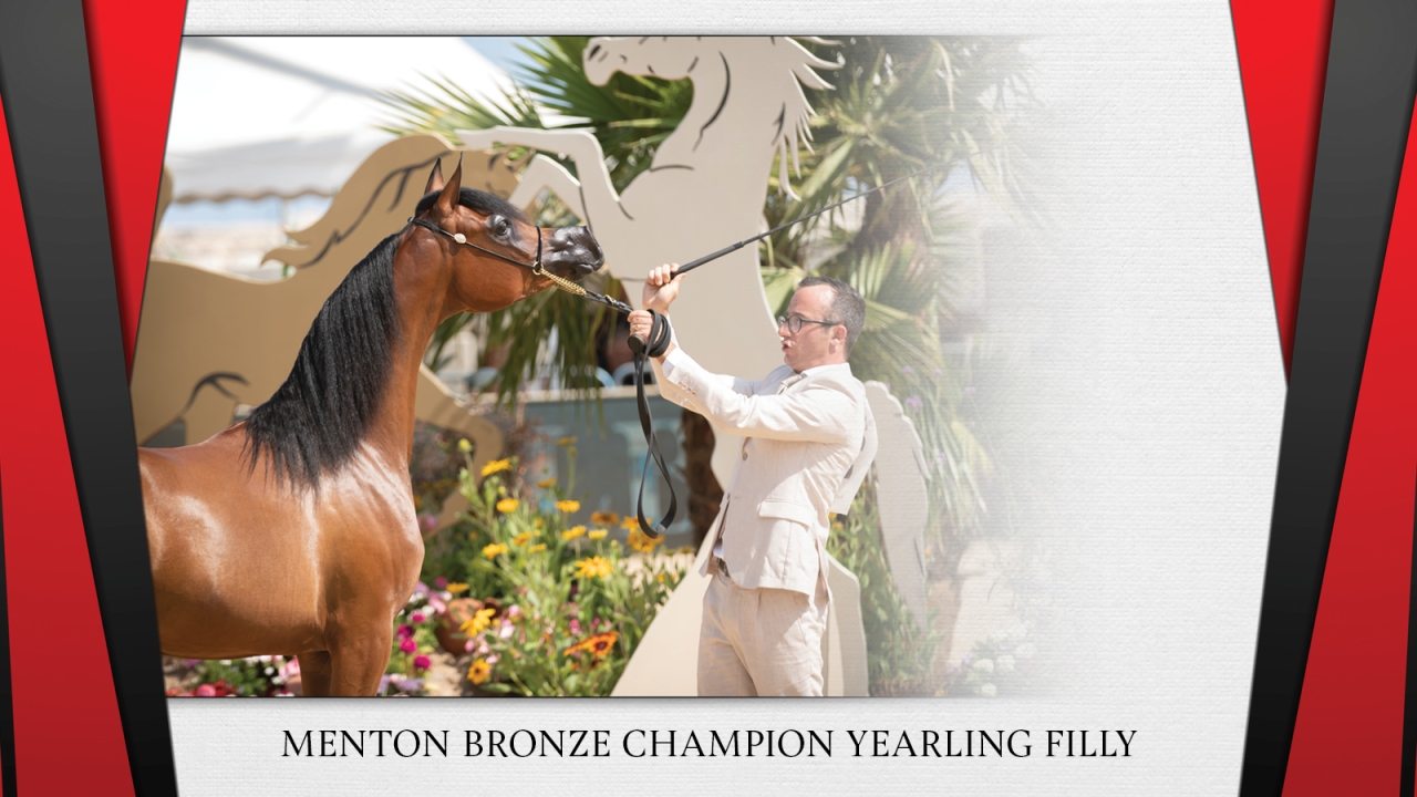 Home | Arabian Essence TV