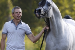 Ted Carson Arabians | Arabian Essence TV