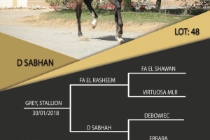 D SABHAN | The Saudi National Championships 2025 | Events | Arabian ...