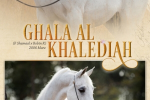 Ghala Al Khalediah | Arabian Essence TV