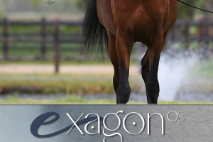 Breeding Season at Privilege: EXAGON OS | Arabian Essence TV
