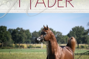 Hader Al Shaqab... ready for Aachen! | Arabian Essence TV