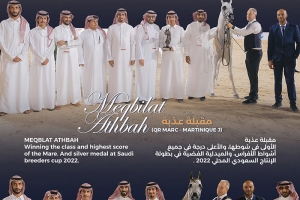 Ajmal Stud Awards The Arabian Horses Show For Local Breeders 2022 ...
