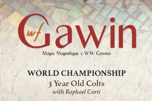 WF Gawin… The epitome of Type ready to shine! | Arabian Essence TV