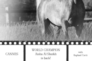 AISHA AL SHEIKH is back! | Arabian Essence TV