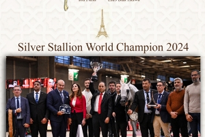 EKS FARAJJ | Silver Stallion World Champion 2024 | Arabian Essence TV