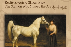 SKOWRONEK - Part 1 | Arabian Essence TV