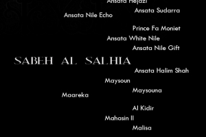 SABEH AL SALHIYAH | Arabian Essence TV