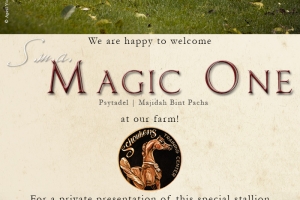 SMA Magic One | Arabian Essence TV