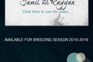 Jamil Al Rayyan | Arabian Essence TV