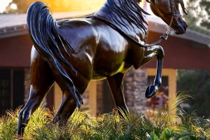 Judy and Kim Nordquist | Arabian Essence TV