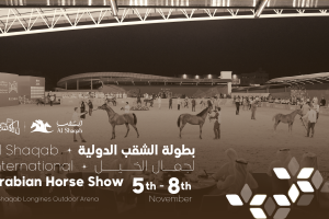 Al Shaqab International Arabian Horse Show 2025 | Events | Arabian ...