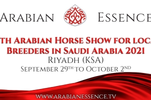 10th Arabian Horse Show for local Breeders in Saudi Arabia 2021 ...
