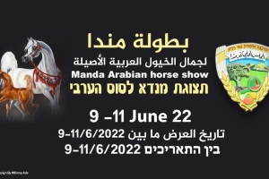 Manda Arabian Horse Show | Events | Arabian Essence TV