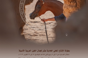 The Arabian Horse Show for local Breeders 2022 | Events | Arabian ...