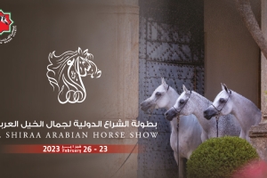 Al Shiraa International Arabian Horse Show 2023 | Events | Arabian ...