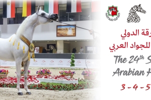 Sharjah International Arabian Horse Festival 2023 | Events | Arabian ...