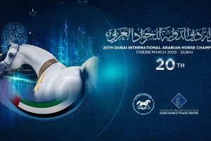 Dubai International Arabian Horse Championship 2023 | Events | Arabian ...