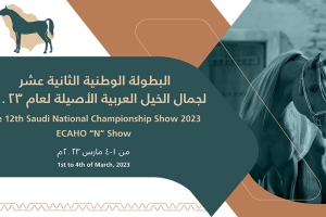 The Saudi National Championships 2023 | Events | Arabian Essence TV