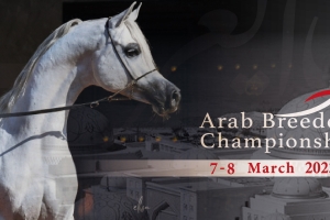 Arab Breeders Championship 2023 | Events | Arabian Essence TV