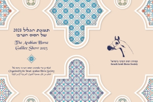 The Arabian Horse Galilee Show 2023 | Events | Arabian Essence TV