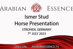 Ismer Stud Horse Presentation | Events | Arabian Essence TV