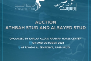 Auction Athbah Stud and Alsayed Stud 2023 | Events | Arabian Essence TV