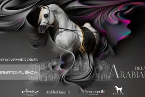 Arabian Dream 2023 | Events | Arabian Essence TV