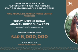 The 6Th International Arabian Horse Show 2023 | Events | Arabian Essence TV
