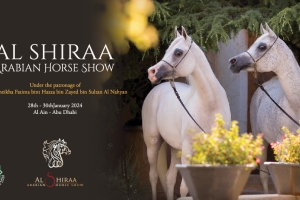 Al Shiraa International Arabian Horse Show 2024 | Events | Arabian ...