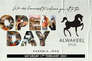 Alwakeel Stud Open Day 2024 | Events | Arabian Essence TV