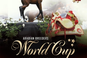 Arabian Breeders World Cup (Emirates AHGC) | Events | Arabian Essence TV