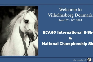 Vilhelmsborg Intl. Show and Danish Nat. Championship 2024 | Events | Arabian Essence TV