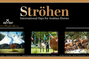 Ismer Stud Horse Presentation 2024 | Events | Arabian Essence TV