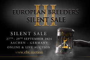 European Breeders Silent Sale 2024 | Events | Arabian Essence TV