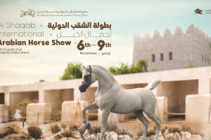 Al Shaqab International Arabian Horse Show 2024 | Events | Arabian ...