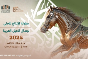 The 13th Local Breed Championship for Arabian Horses 2024 | Events ...
