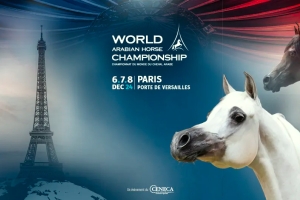 World Arabian Horse Championship 2024 - PARIS | Events | Arabian Essence TV