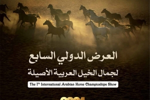 The 7th International AHC Show | Events | Arabian Essence TV